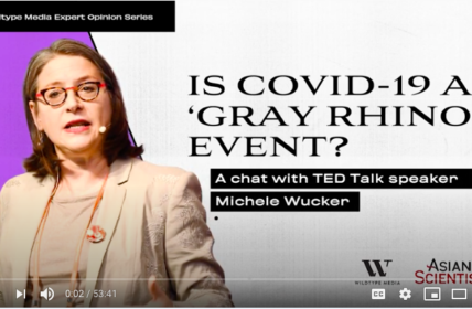 Gray Rhino & Company